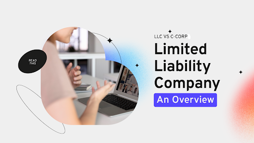 LLC vs C-Corp for an online business? Which is better? - GoNomad Blog